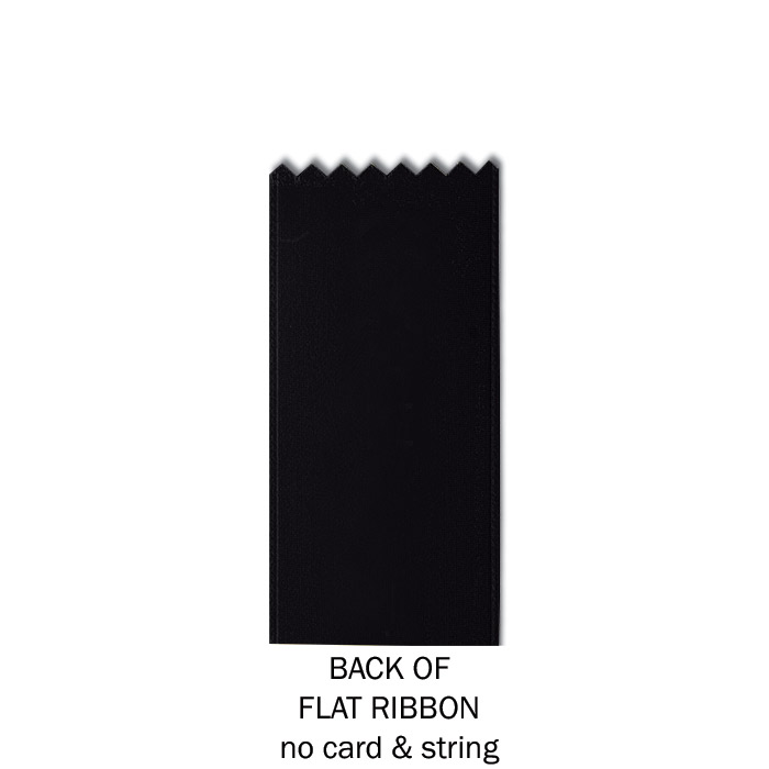 Robotics Ribbon - Flat - Jones School Supply